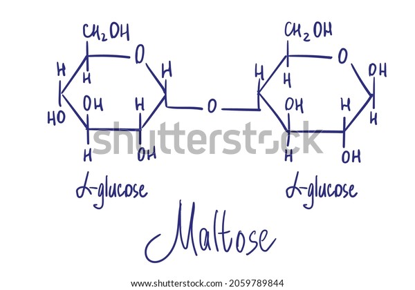 Maltose Chemical Structure Vector Illustration Hand Stock Vector ...