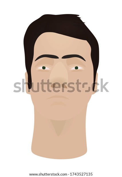 Man Face Portrait Vector Illustration Stock Vector (Royalty Free ...