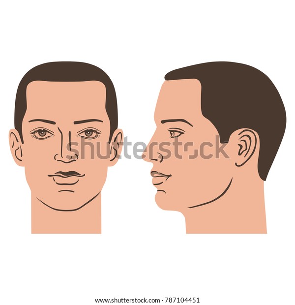 Man Hairstyle Head Front Side Vector Stock Vector (Royalty Free ...