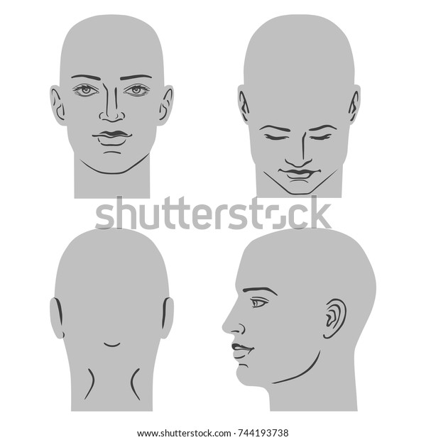 Man hairstyle head set (front, back, side views), vector illustration ...
