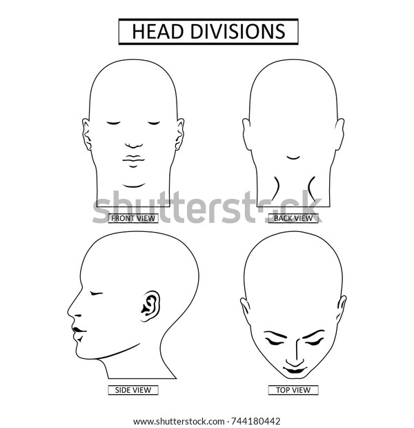 Man Head Divisions Scheme Template Front Stock Vector (Royalty Free ...