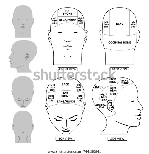 Man Head Divisions Scheme Template Front Stock Vector (Royalty Free ...