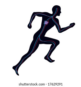Man Running Showing Both Vascular Blood Stock Vector (Royalty Free ...