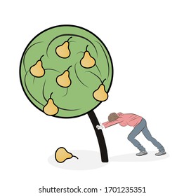 Man Shakes Tree Shakes Get Fruit Stock Vector (Royalty Free) 1701235351 ...