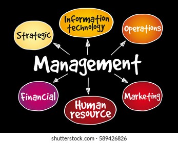 Management Mind Map Business Strategy Concept: vector de stock (libre ...