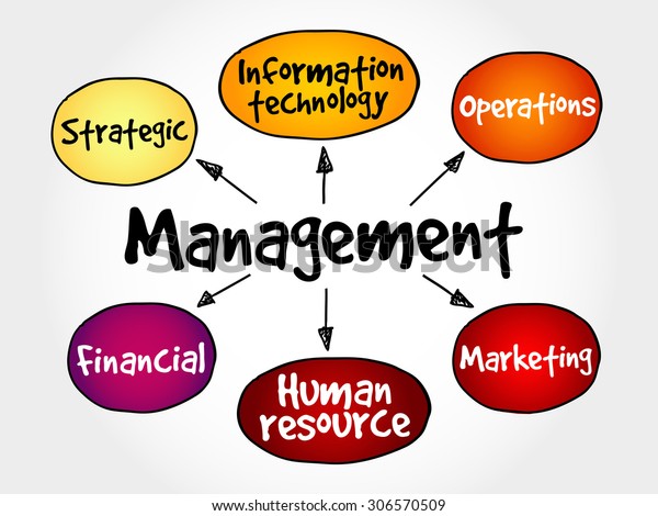 Management Mind Map Business Strategy Concept Stock Vector (Royalty ...