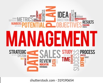 Management Word Cloud Business Concept Stock Vector (Royalty Free ...