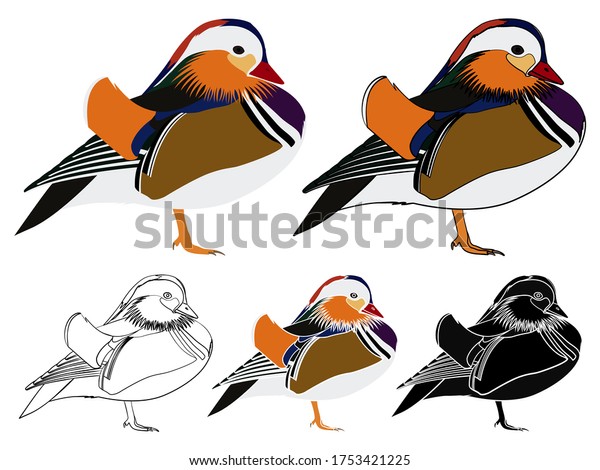 Mandarin Duck Stock Vector (Royalty Free) 1753421225 | Shutterstock