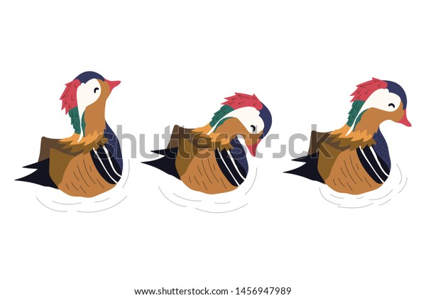 Mandarin Duck Vector Illustration White Background Stock Vector ...