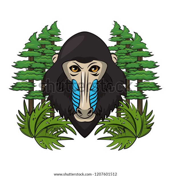 Mandrill Face Cool Sketch Stock Vector (Royalty Free) 1207601512 ...