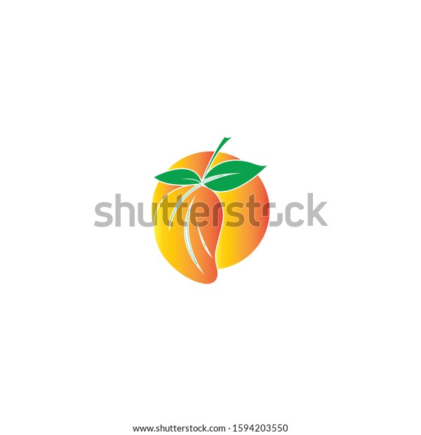 Mango Design Logo Vector Illustrator Stock Vector (Royalty Free ...