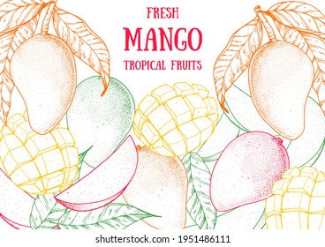 Mango Fruit Hand Drawn Package Design Stock Vector (Royalty Free ...