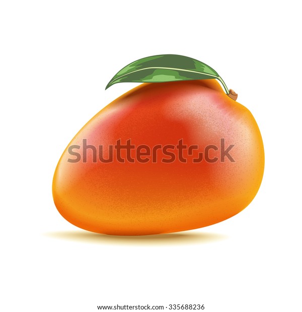 Mango Vector Delicious Tropical Fruit Vitamins Stock Vector (Royalty ...