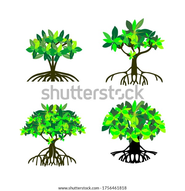 Mangrove Tree Vector Illustration Colors Stock Vector (Royalty Free ...