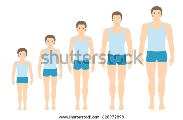 Man's body proportions changing with age. Boy's body growth stages ...