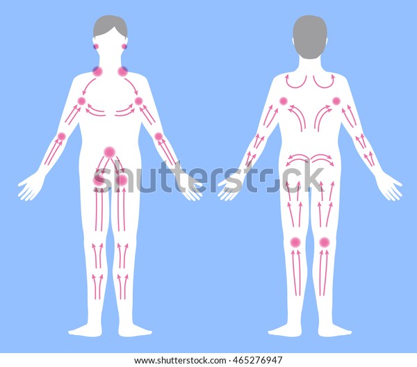Mans Lymphatic Massage Diagram Front Back Stock Vector (Royalty Free ...