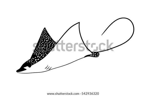 Manta Ray Fish Vector Animal Wildlife Stock Vector (Royalty Free) 542936320