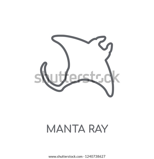 Manta Ray Linear Icon Modern Outline Stock Vector (Royalty Free) 1240738627