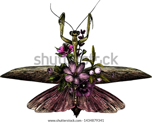 Mantis Open Wings Decorated Flowers Leaves Stock Vector (Royalty Free ...