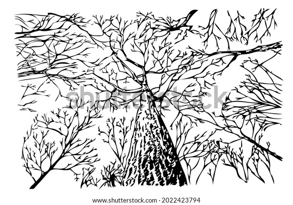 Manual Draw Sketch Dead Tree Stock Vector (Royalty Free) 2022423794 ...