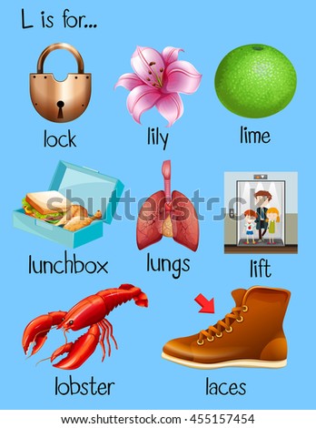 Many Words Begin Letter L Illustration Stock Vector (Royalty Free ...