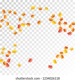 Vector Seamless Horizontal Border Falling Maple Stock Vector (Royalty ...
