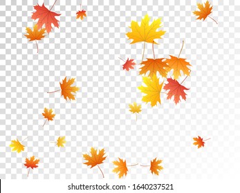29,205 Autumn leaves flying Images, Stock Photos & Vectors | Shutterstock