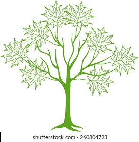 Maple Tree Stock Vector (Royalty Free) 260804723 | Shutterstock