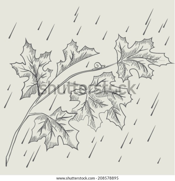 Maple Tree Branch Rain Illustration Vector Stock Vector (Royalty Free ...