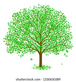 Maple Tree Leaf Icon: vector de stock (libre de regalías) 1330650389 ...