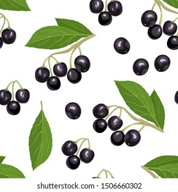 Maqui Stock Illustrations, Images & Vectors | Shutterstock