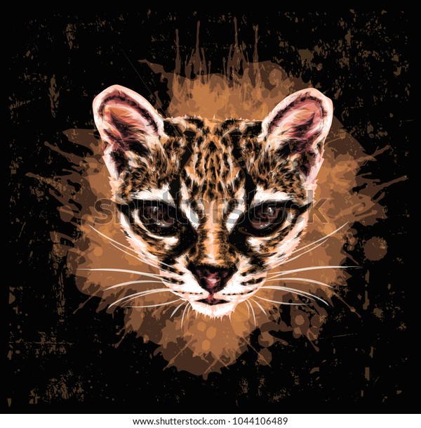 Margay Vector Illustrative Wild Cat Stock Vector (Royalty Free ...