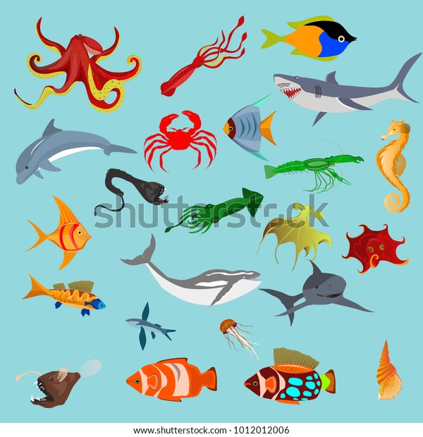 Marine Life Vector Illustration Ocean Animals Stock Vector (Royalty ...