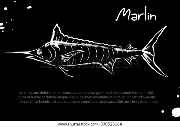 Marlin Vector Isolated Illustration Ink Hand Stock Vector (Royalty Free ...
