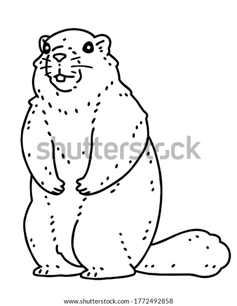 Marmot Vector Line Art Illustration Stock Vector (Royalty Free) 1772492858