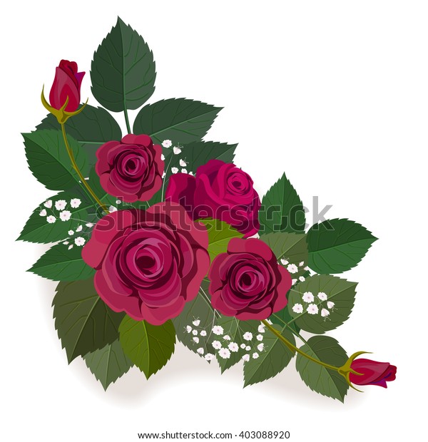 Maroon Vector Roses Green Leaves Flower Stock Vector (Royalty Free ...