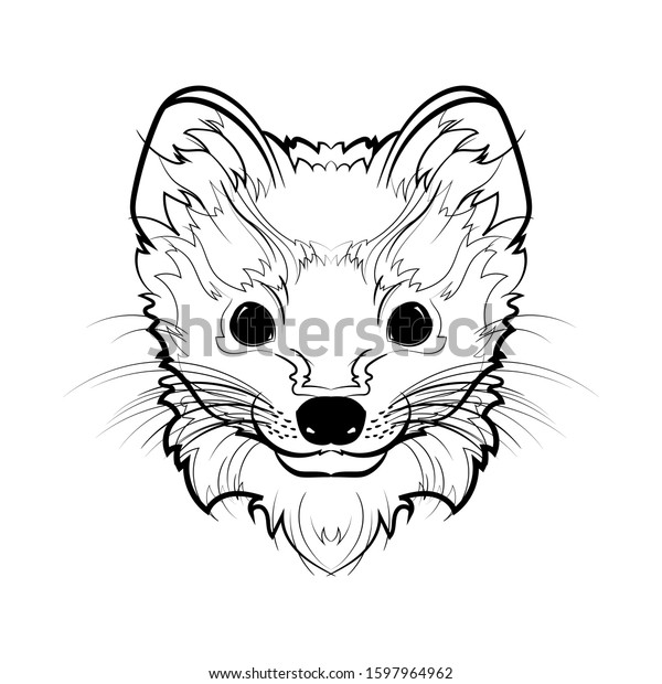 Marten Head Line Drawing Black White Stock Vector (Royalty Free) 1597964962