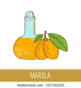 161 Amarula Stock Vectors, Images & Vector Art | Shutterstock
