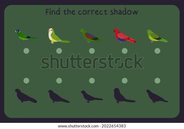 Matching Children Educational Game Parrots Australian Stock Vector ...