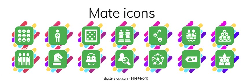 Mate Icon Set 14 Filled Mate Stock Vector (Royalty Free) 1609946140 ...