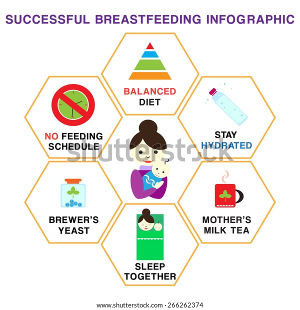 Maternity Infographic Template Successful Breastfeeding Poster เวกเตอร์ ...