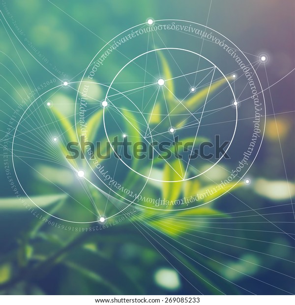 Mathematical Symbols Digits Nature Formula Nature Stock Vector (Royalty ...