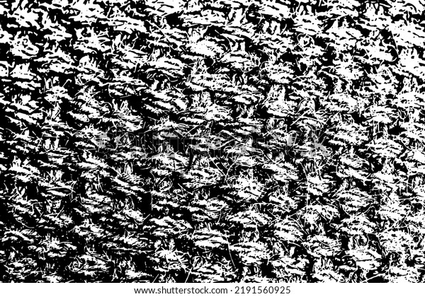 Matt Wicker Vector Texture Clear Weave Stock Vector (Royalty Free ...