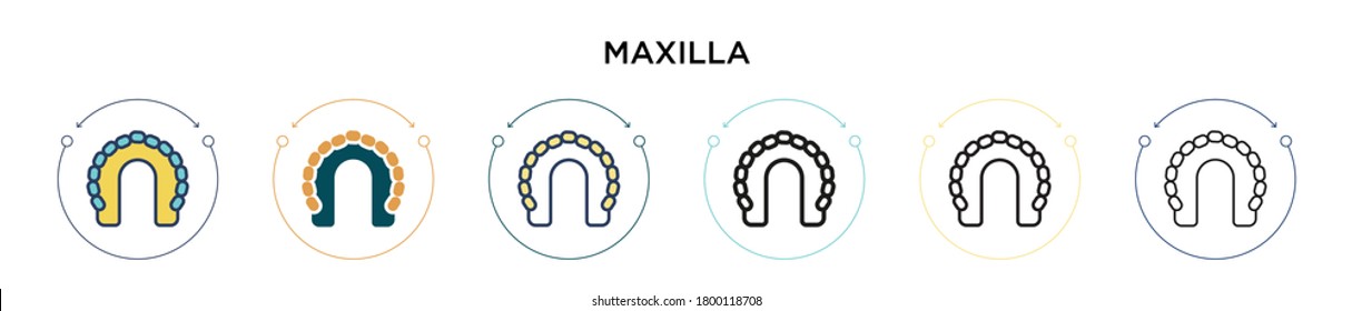 Maxilla Icon Filled Thin Line Outline Stock Vector (Royalty Free ...