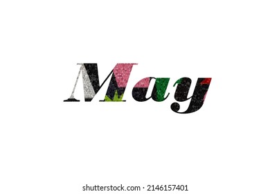 May Colorful Typography Text Banner Vector Stock Vector (Royalty Free ...