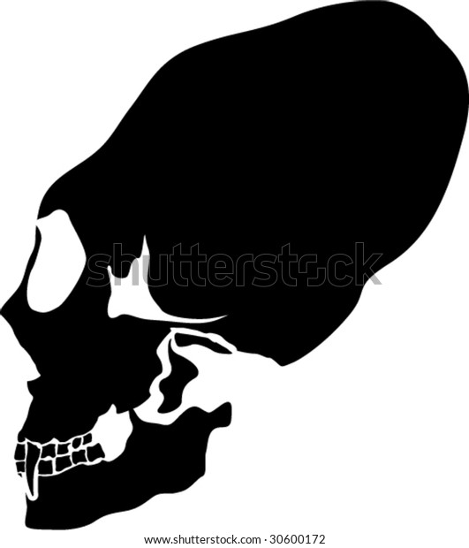 Mayan Skull Silhouette Stock Vector (Royalty Free) 30600172 | Shutterstock