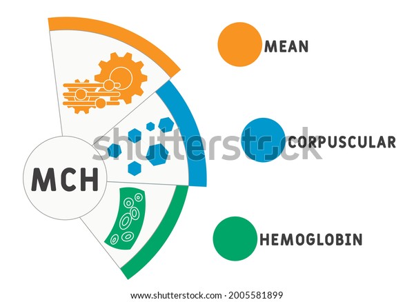 Mch Mean Corpuscular Hemoglobin Acronym Medical Stock Vector (Royalty ...
