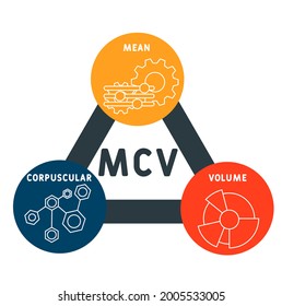 Mcv Mean Corpuscular Volume Acronym Medical Stock Vector (Royalty Free ...