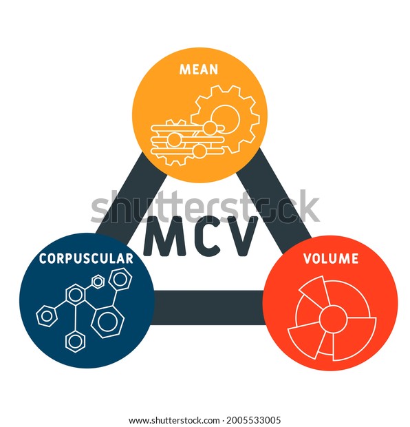 Mcv Mean Corpuscular Volume Acronym Medical Stock Vector (Royalty Free ...