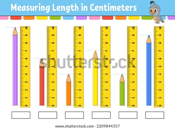 Measuring Length Centimeter Ruler Education Developing Stock Vector ...
